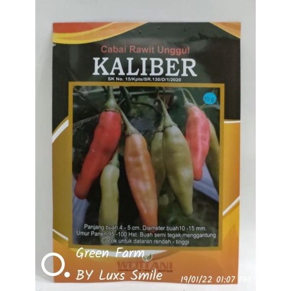 Jual KODE T37K CRM KALIBER Cabe Rawit Merah Kaliber Buah Lebat Kemasan ...