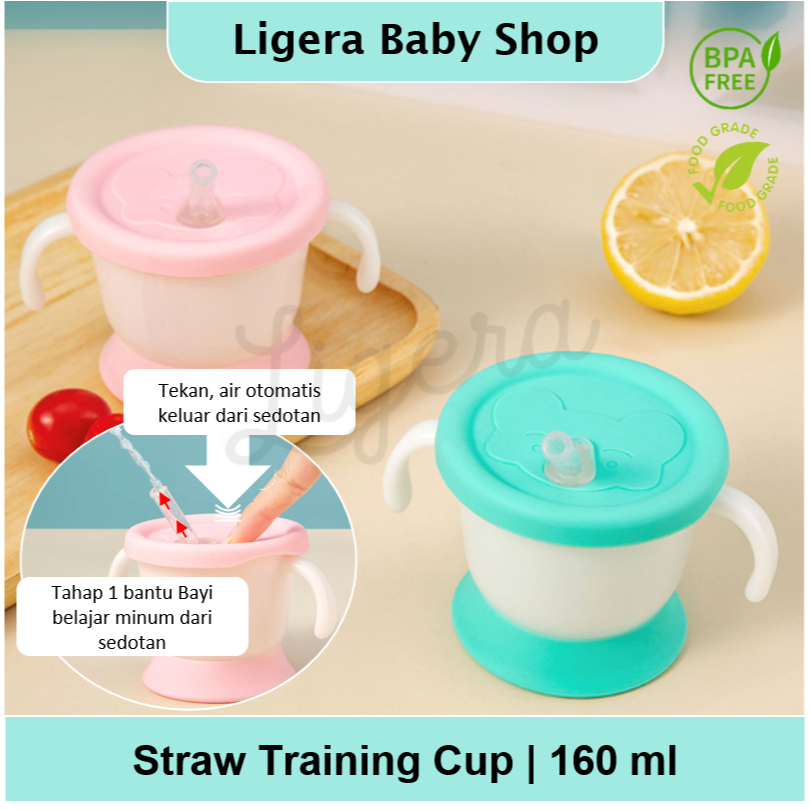 Jual LIGERA Early Stage Straw Training Mug 160ml / Gelas Cangkir Anak ...