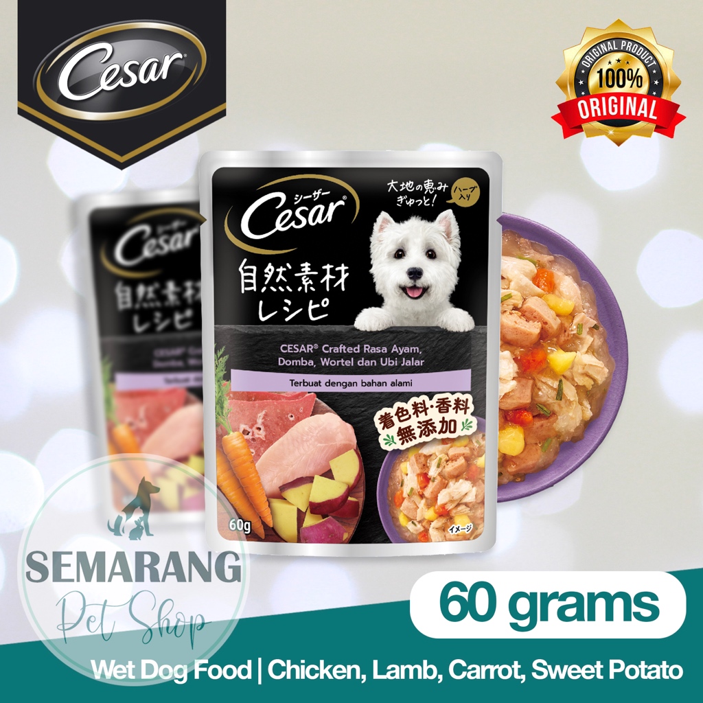 Jual Wet Dog Food CESAR Chicken, Lamb, Carrot, Sweet Potato 60gr ...