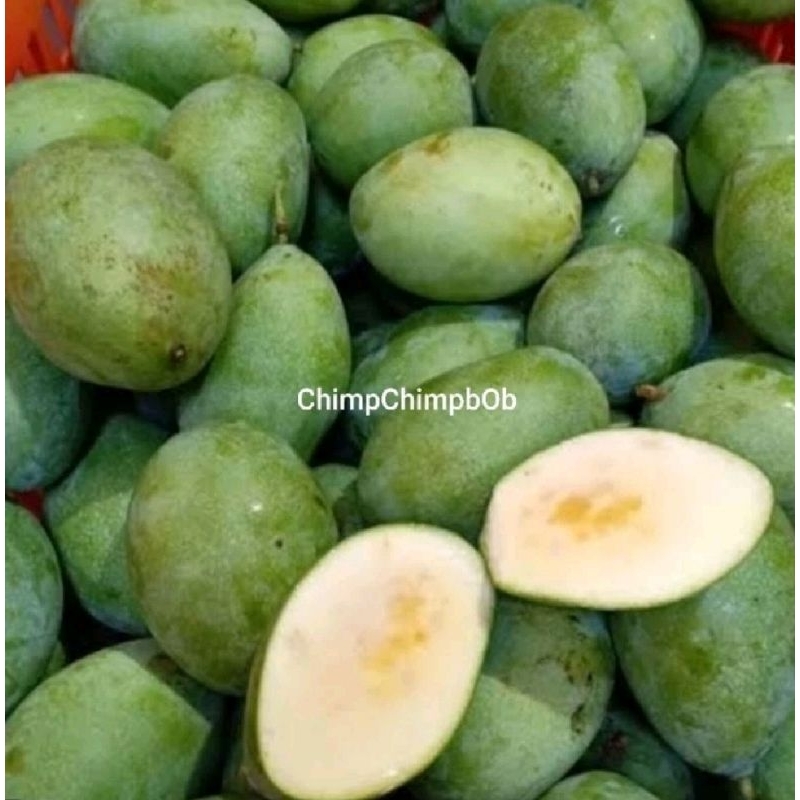 Jual MANGGA MADU MATANG POHON 1 KG SEGAR | Shopee Indonesia