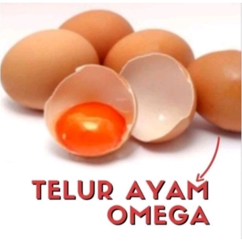 Jual Telur ayam omega 1kg, Telur ayam omega | Shopee Indonesia