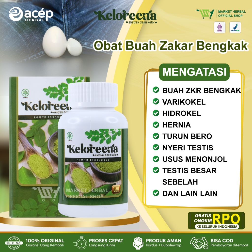 Jual Obat Buah Zakar Bengkak Hernia Menahun Varikokel Hidrokel Turun ...