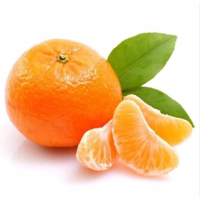 Jual 10 Biji Benih Buah Jeruk Kino | Shopee Indonesia