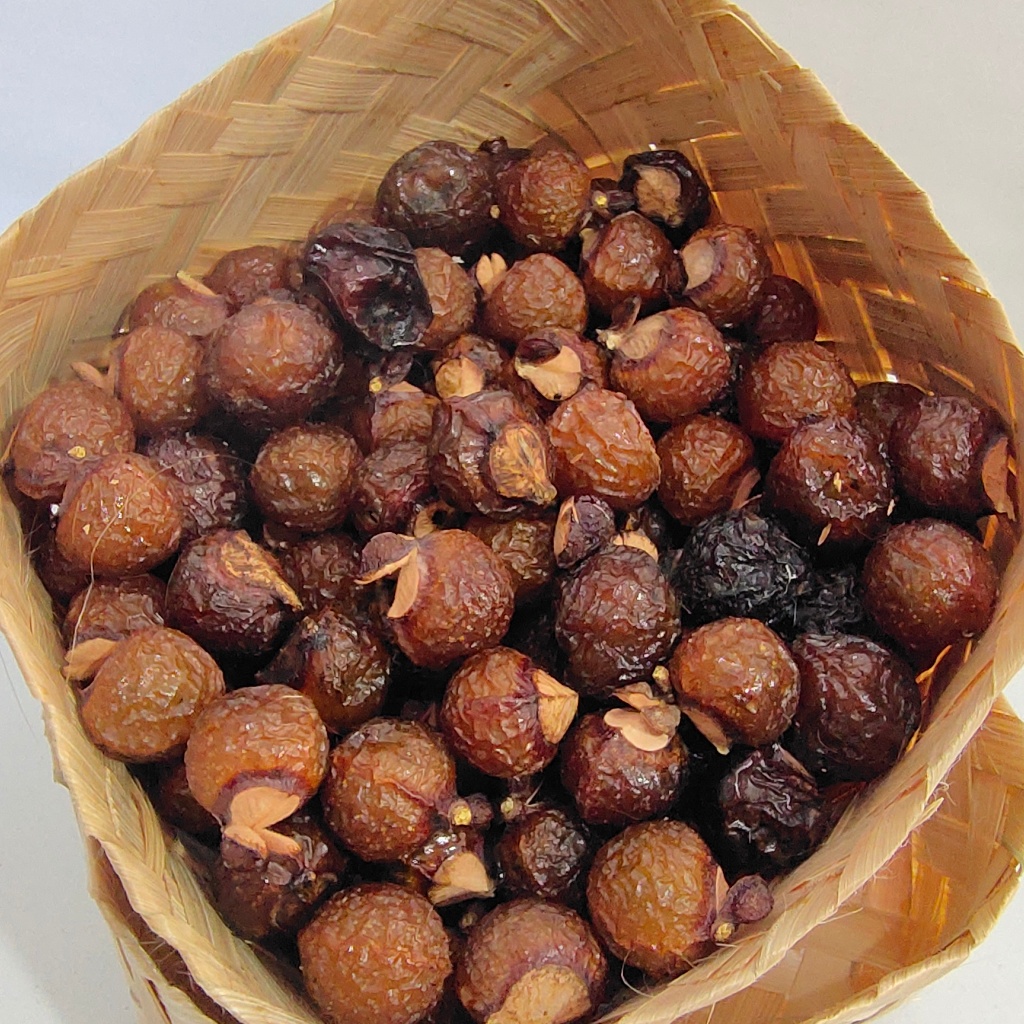 Jual Buah Lerak Sabun Klerek Detergen Alami Ramah Lingkungan Soapnut ...