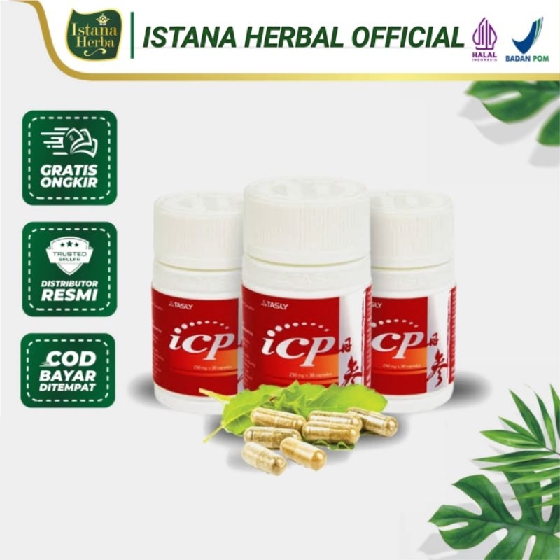 Jual ICP CAPSULE Original Obat Herbal Kesehatan Jantung Paling Mujarab ...