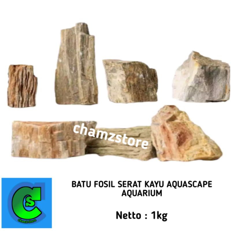 Jual Batu fosil serat kayu aquascape aquarium / batu fosil kayu ...