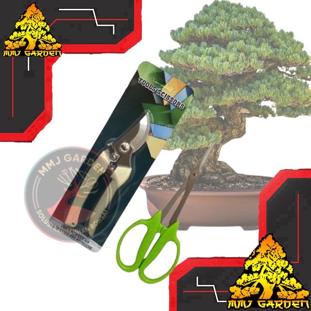 Jual MMJ GARDEN-ALAT BONSAI PAKET HEMAT | Shopee Indonesia Jual MMJ GARDEN-ALAT BONSAI PAKET HEMAT | Shopee Indonesia