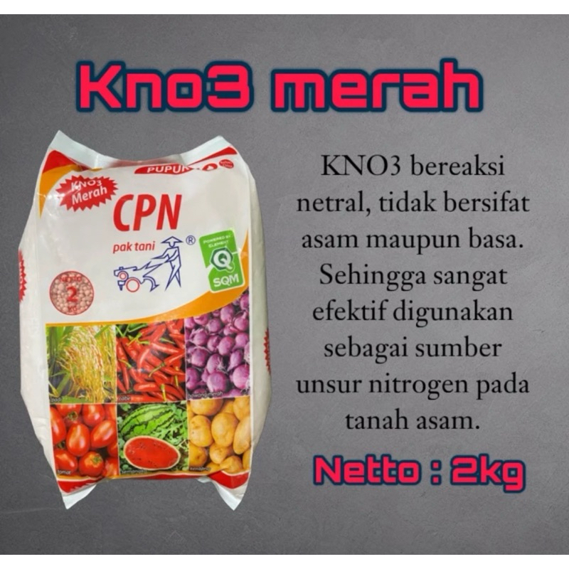 Jual Pupuk CPN KNO 3 Merah Pak Tani 2 Kg | Shopee Indonesia