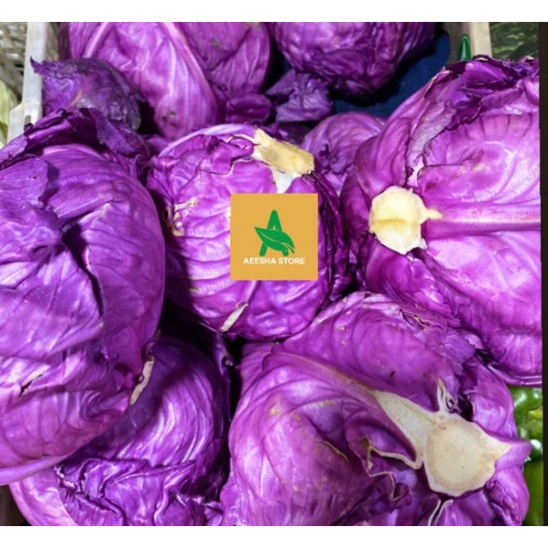 Jual kol ungu 500gr sayur kol kubis ungu | Shopee Indonesia