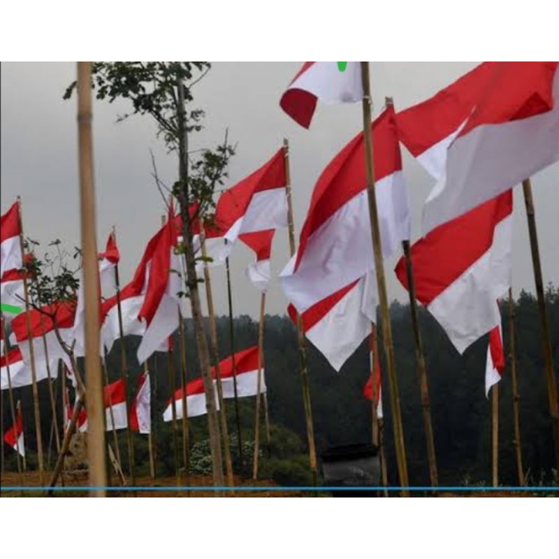 Jual Bendera Indonesia bendera merah putih SEDANG Harga Termurah ...
