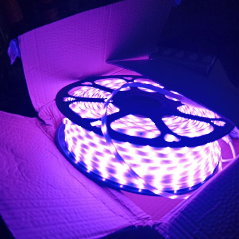 Jual lampu led slang smd 5050 mata 1 besar | Shopee Indonesia