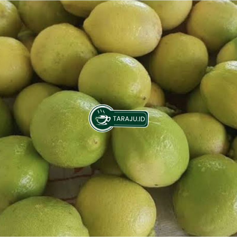 Jual Jeruk Lemon 1kg Lemon Lokal | Shopee Indonesia