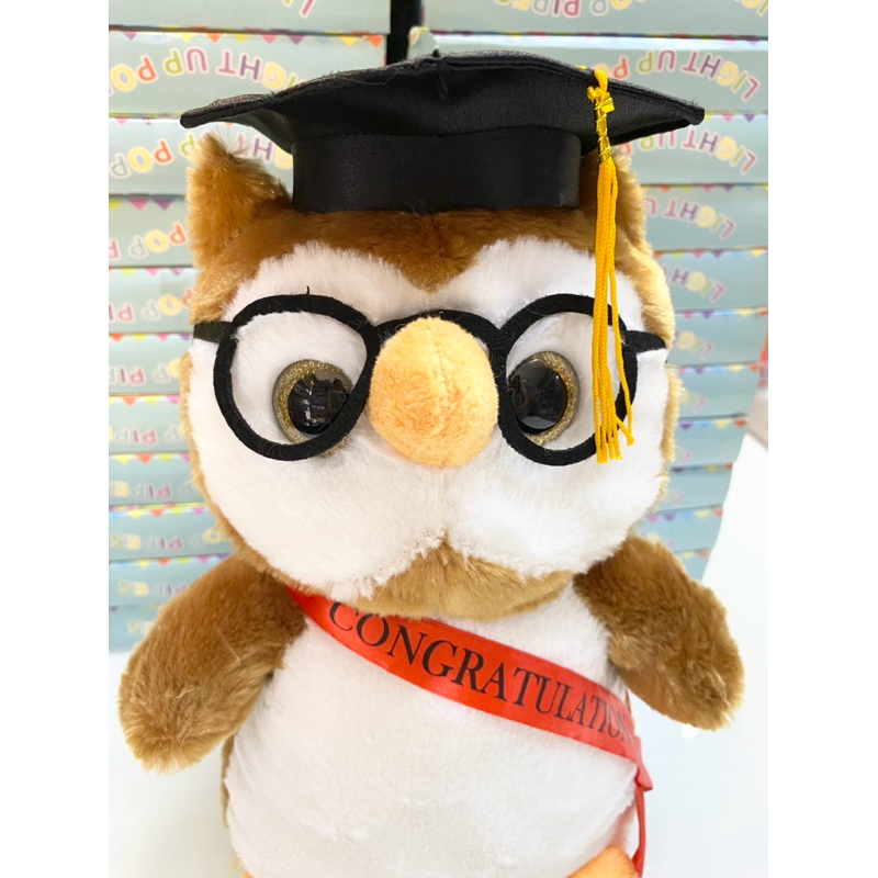 Jual boneka wisuda owl graduation burhan burung hantu toga wisuda ...