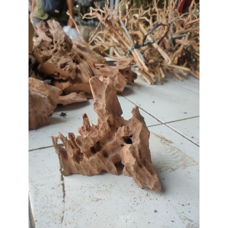 Jual kayu rentek size s aquascape | Shopee Indonesia