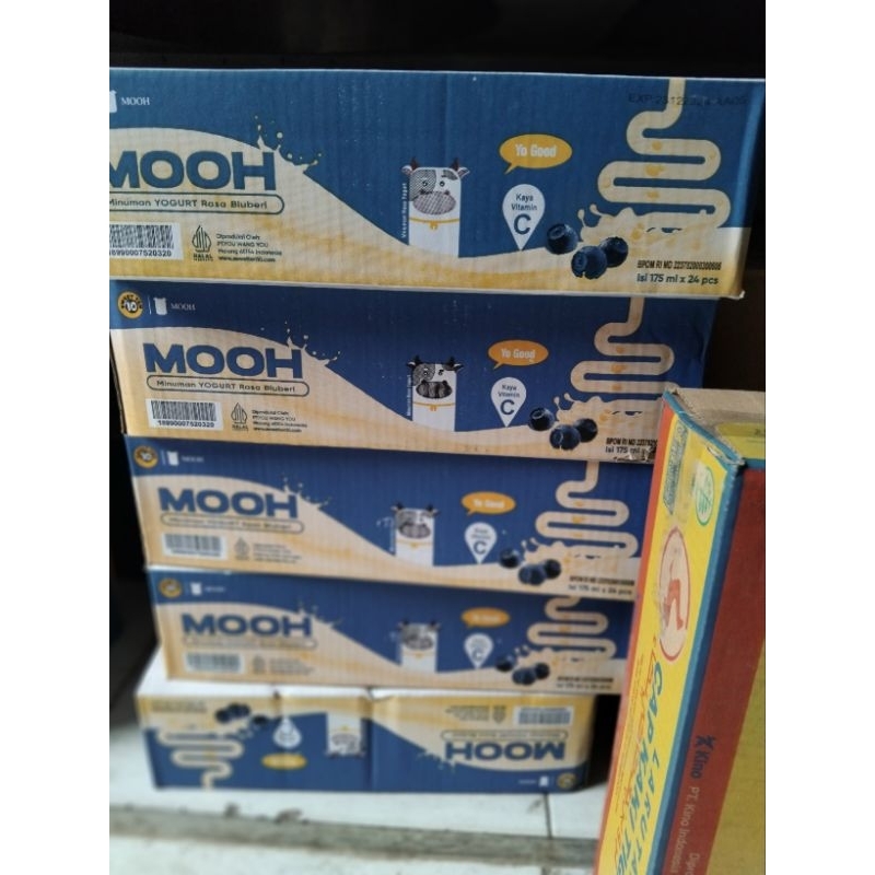 Jual MINUMAN SUSU MOOH YOUGURT RASA BLUEBERY | Shopee Indonesia