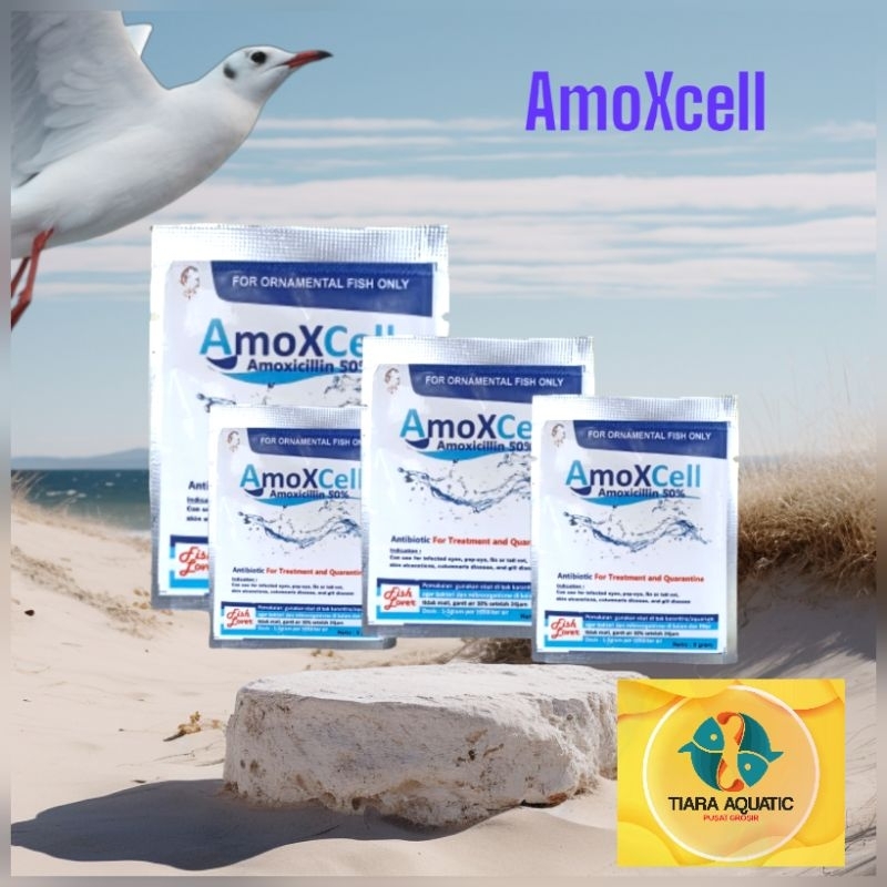 Jual AmoXcell obat ikan sakit Karantina ikan koi | Shopee Indonesia