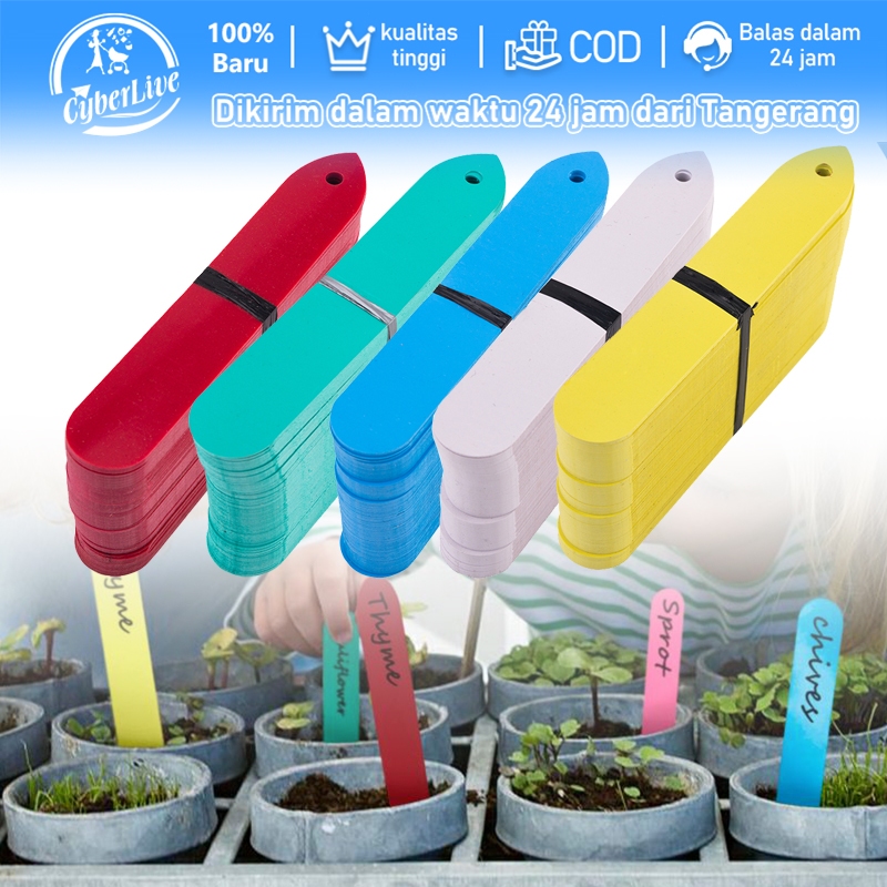 Jual 100pcs Label Tanaman Label Anggrek Name Tag Tanaman Papan Nama Tanaman Thick With Hole ...