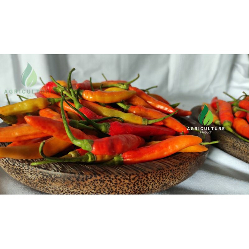 Jual cabai rawit 500g (biasa) | Shopee Indonesia