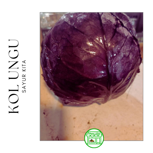 Jual Kol Ungu 1 pc (700 gr - 900 gr) | Shopee Indonesia