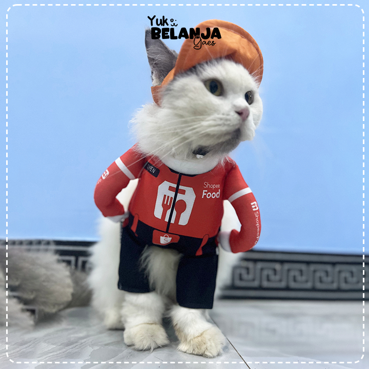 Jual Baju Kucing Kostum Grosir Dengan Topi Eceran / Yuk Belanja Gaes ...