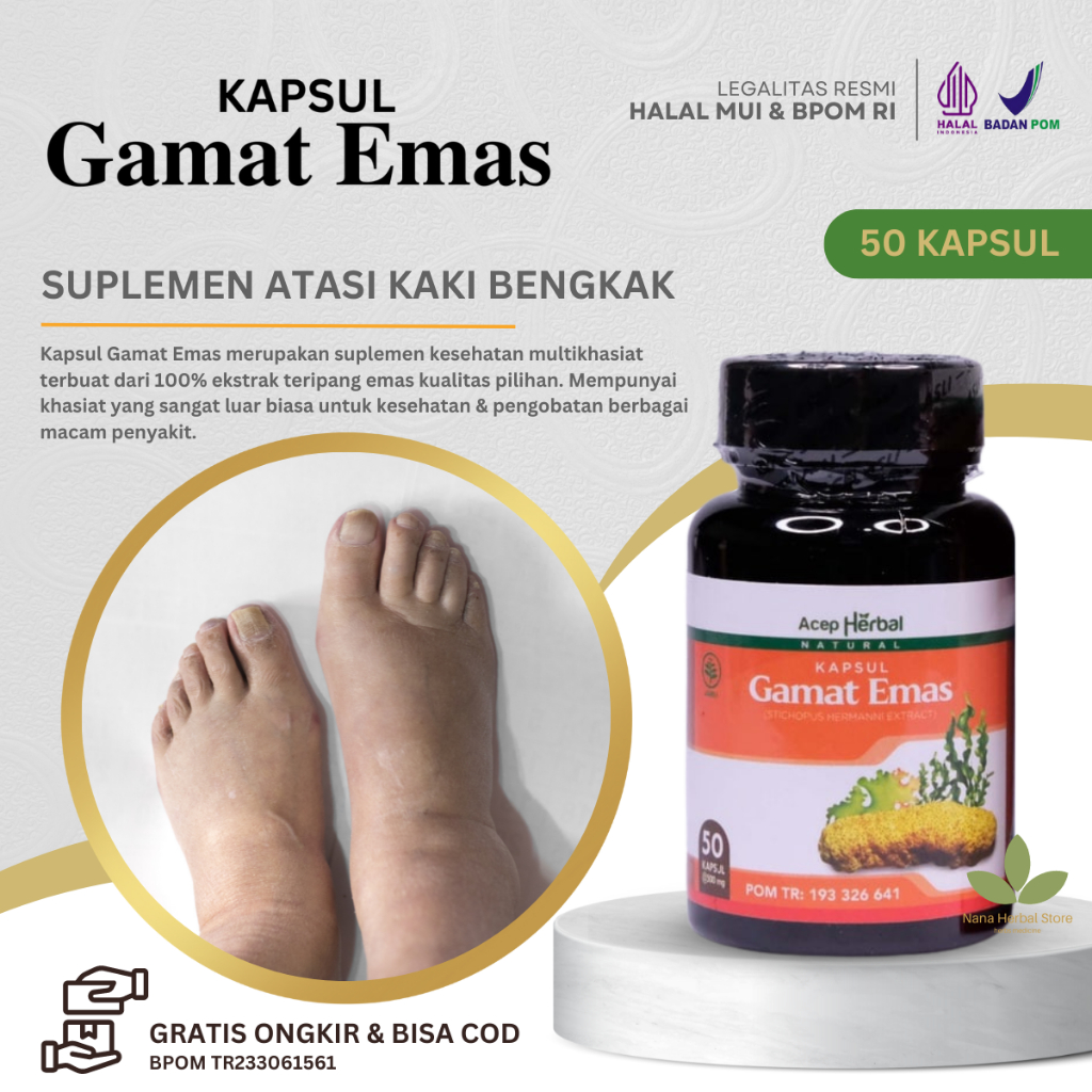 Jual Kapsul Gamat Emas Obat Kaki Bengkak Karena Penumpukan Cairan Edema ...