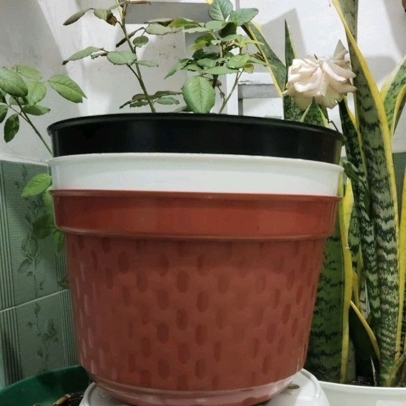 Jual (1pcs) POT DINDING HAFA 20 pot dinding tempel bahan tebal murah ...