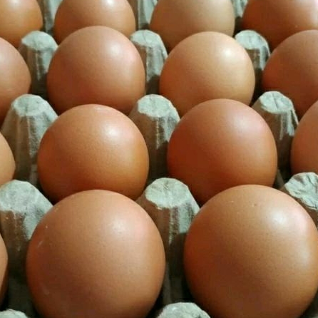 Jual telur ayam ras/ eropa biasa ( size L) per papan | Shopee Indonesia