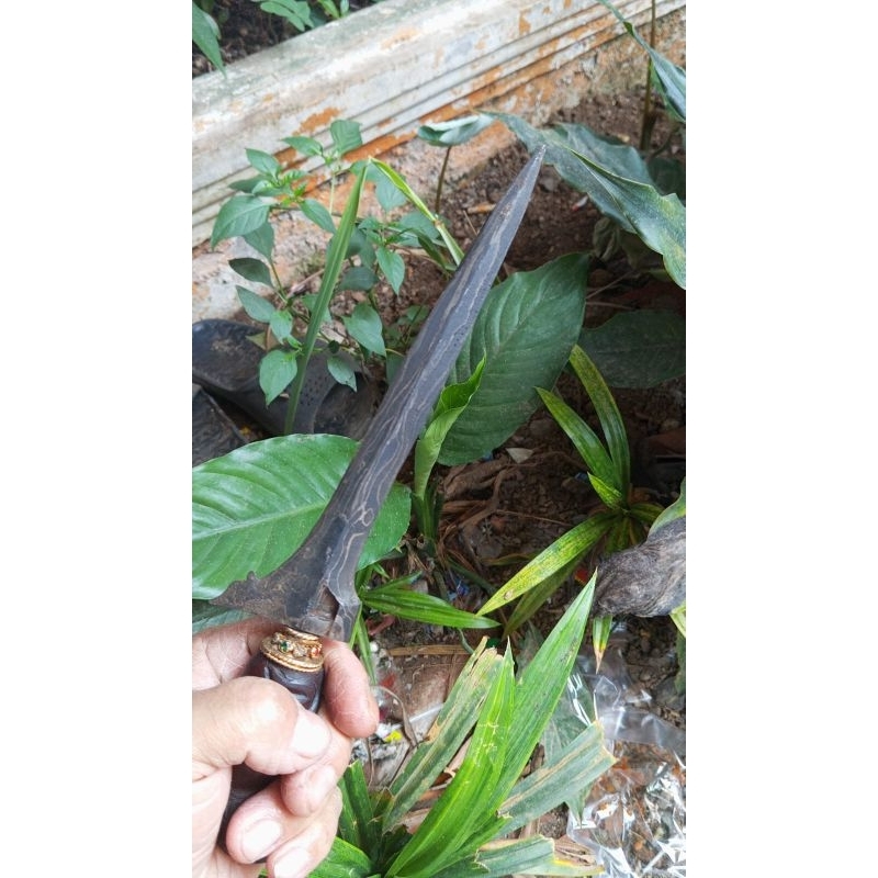 Jual keris patrem bethok jalak budho ngadiboyo sejengkal | Shopee Indonesia