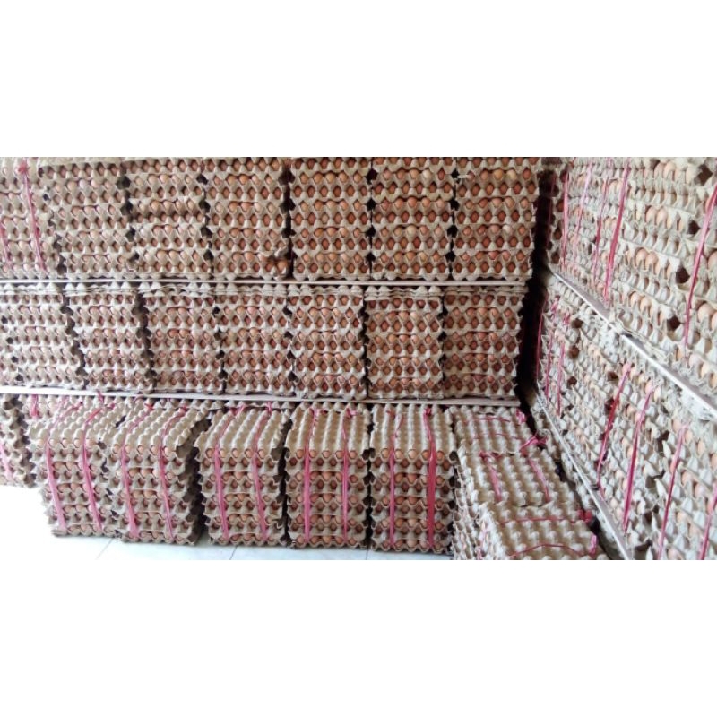 Jual TELUR AYAM CURAH FRESH/KG | Shopee Indonesia