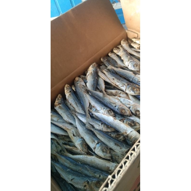 Jual ikan asin murah peda layang REBUS cop asin 1kg | Shopee Indonesia