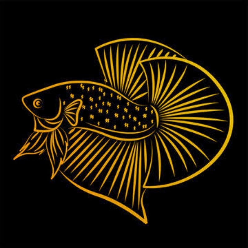 Jual Stiker Ikan Cupang(CO LIVE) | Shopee Indonesia