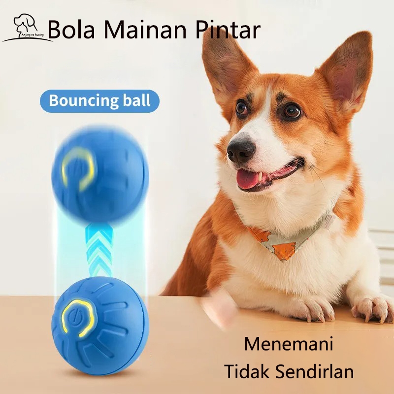 Jual Pet Mainan anjing kucing Bola Listrik Bergulir Cerdas Hewan ...