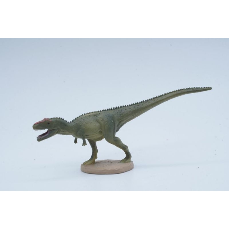 Jual Mapusaurus Dinosaur Dinosaur Mainan Animal Figure Binatang ...