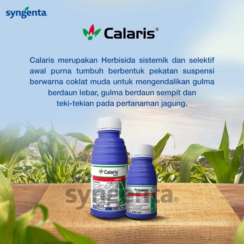Jual Herbisida Jagung Calaris | Shopee Indonesia