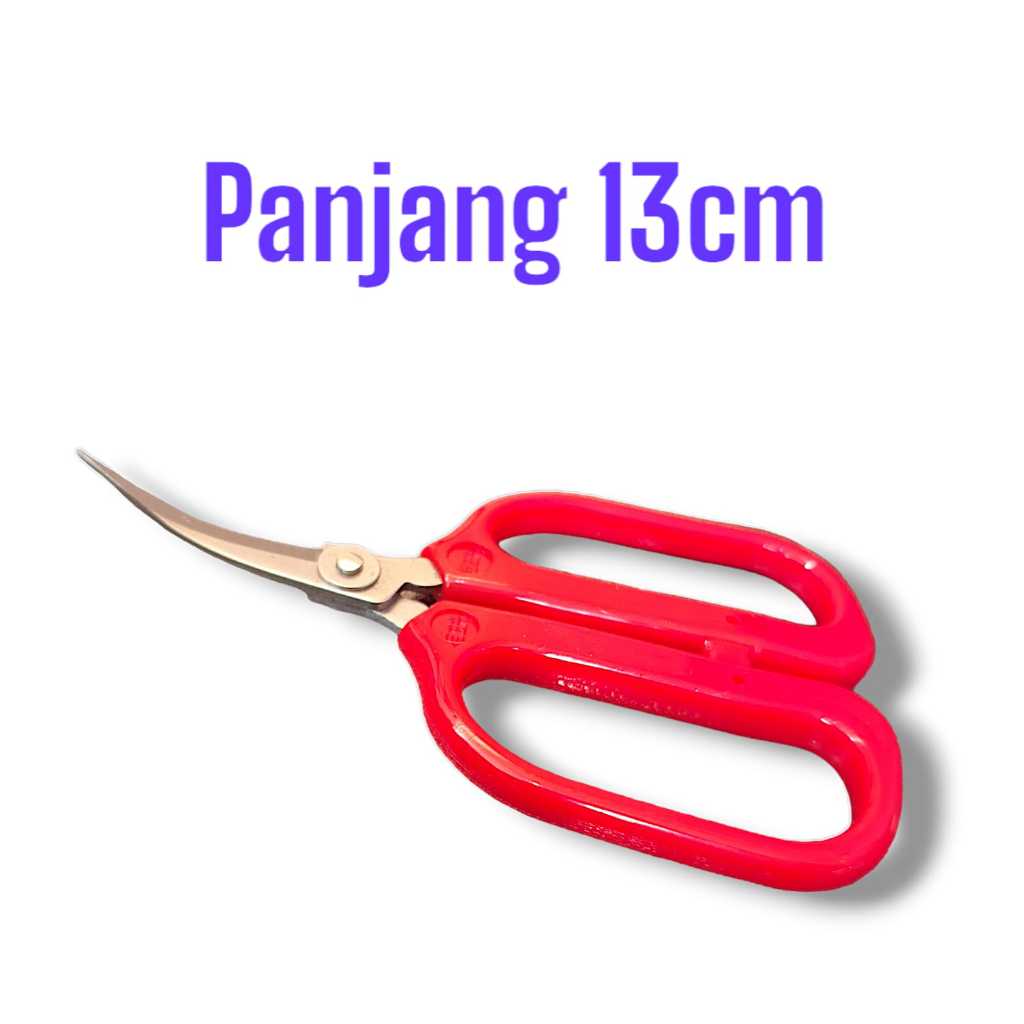 Jual Gunting Prunning Daun Pin S206 Gagang Merah Panjang 13 Cm | Shopee ...