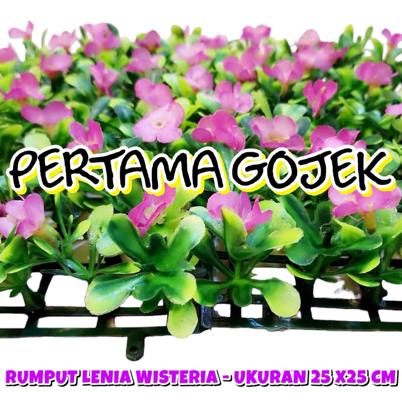 Jual Rumput Lenia Wisteria Ukuran 25X25Cm/ Rumput Plastik/ Daun Rambat ...