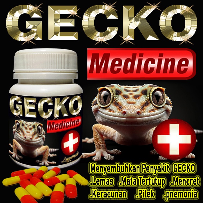 Jual GECKO MEDICINE OBAT PILEK TOKEK REPTILE LEMAS MATA TERTUTUP ...