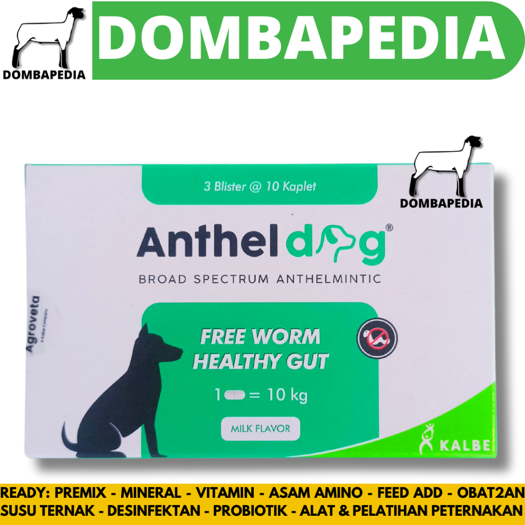 Jual ANTHEL DOG 1 TABLET (KEMASAN BLISTER) - Obat Cacing Anjing Ampuh ...