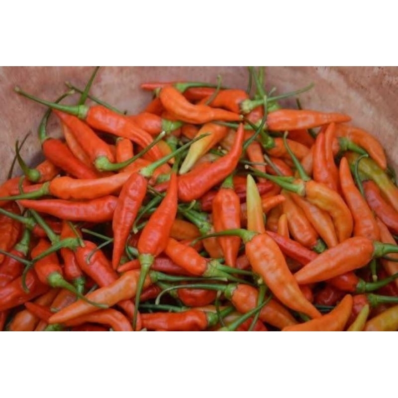 Jual Cabe Rawit Domba 100gr | Shopee Indonesia