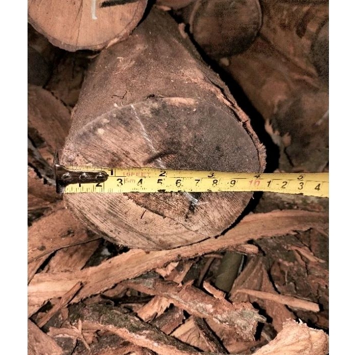 Jual Kayu Dolken Terlengkap & Harga Terbaru Juni 2026 | Shopee Indonesia