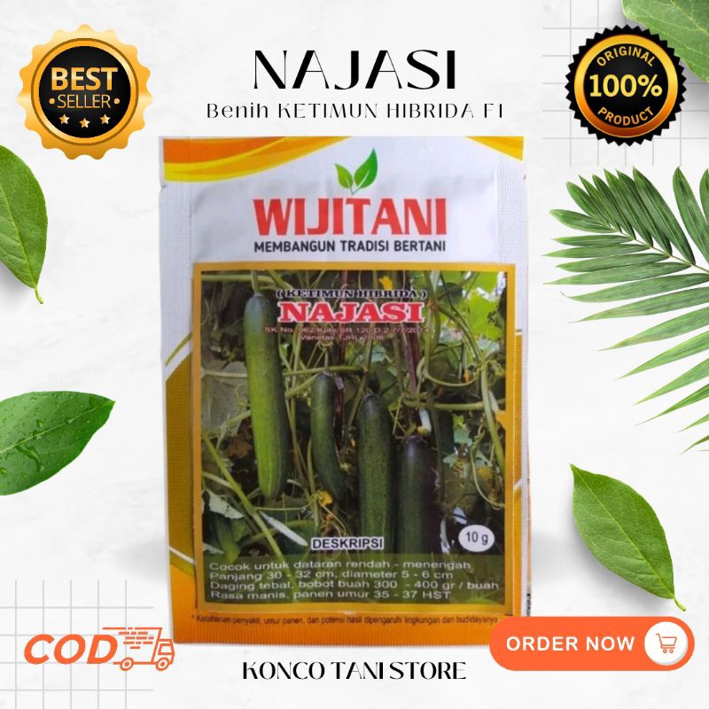 Jual Benih Timun Najasi | Shopee Indonesia
