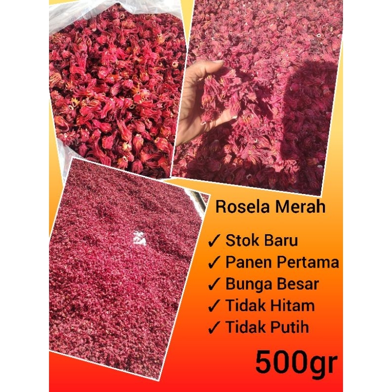 Jual Bunga Rosela merah kering 500 gram | Shopee Indonesia