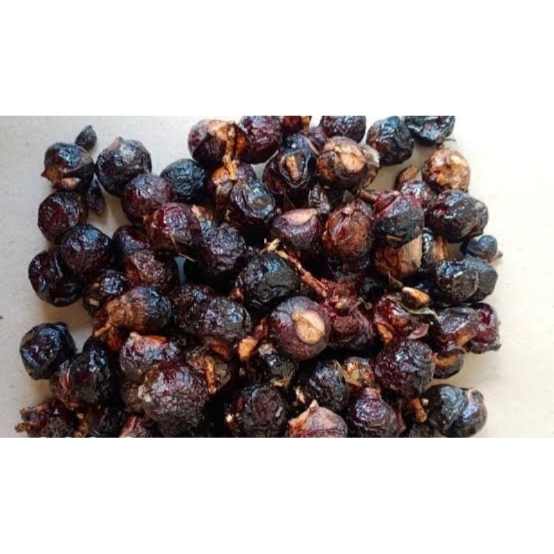 Jual Buah Lerak kering glondong kemasan 1kg | Shopee Indonesia