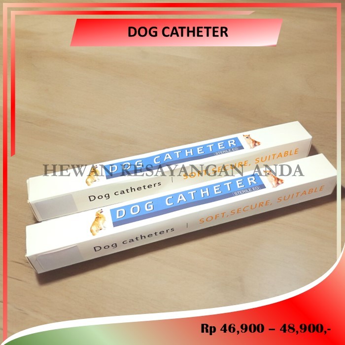 Jual Kateter Urine Anjing Dog Catheter Without Stylet 1.0mm*500mm dan 1 ...