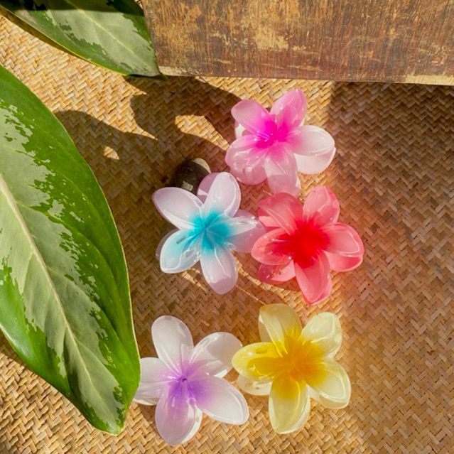 Jual JEPIT JEDAY BUNGA JEPUN/ KAMBOJA BALI 7,5cm | Shopee Indonesia