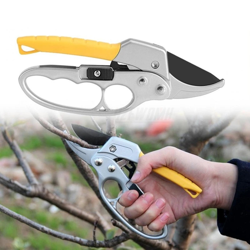 Jual Pruning Shears Gunting Dahan Bunga Gunting Pohon Gunting Tangkai ...