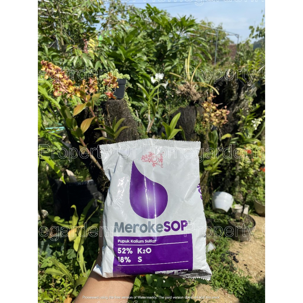Jual Pupuk Meroke SOP kemasan (1kg) | Shopee Indonesia