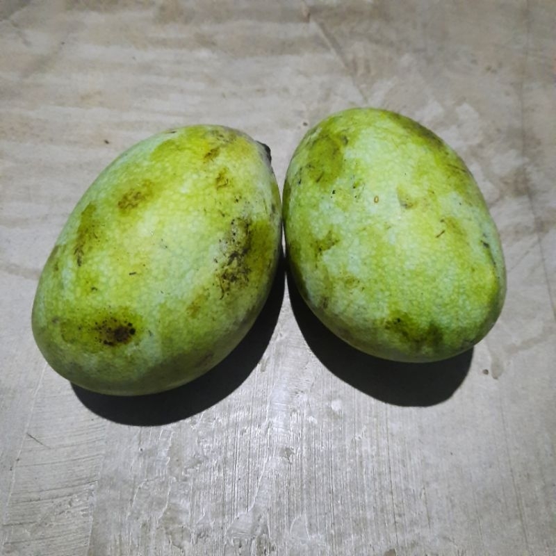 Jual mangga muda 1kg | Shopee Indonesia