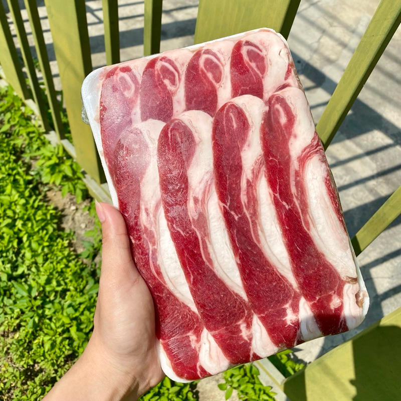 Jual Beef Slice Fat / Yoshinoya slice 500gr | Shopee Indonesia