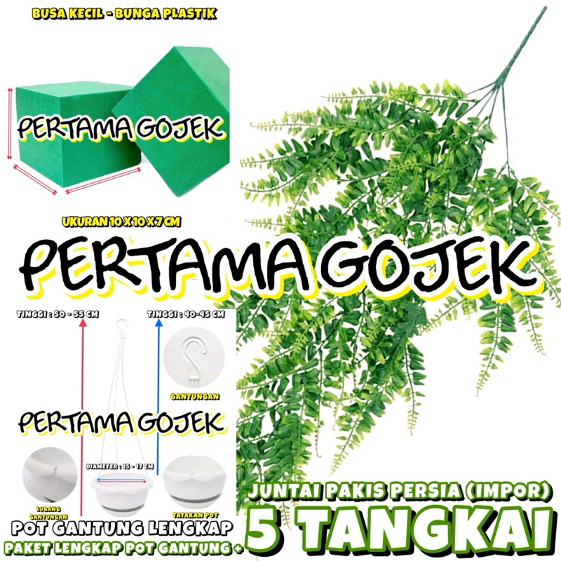Jual PAKET LENGKAP JUNTAI PAKIS CEMARA IMPOR X5/ JUNTAI PAKIS PERSIA ...